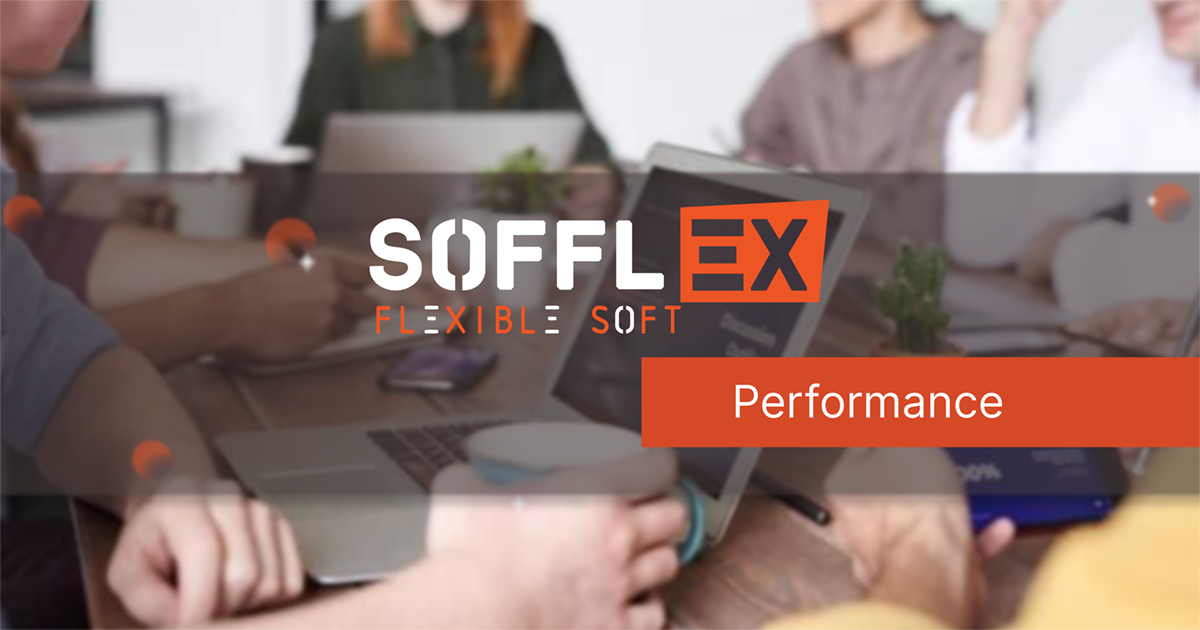 Flexible Soft: Delivering Excellence - Performance Metrics and Achievements
